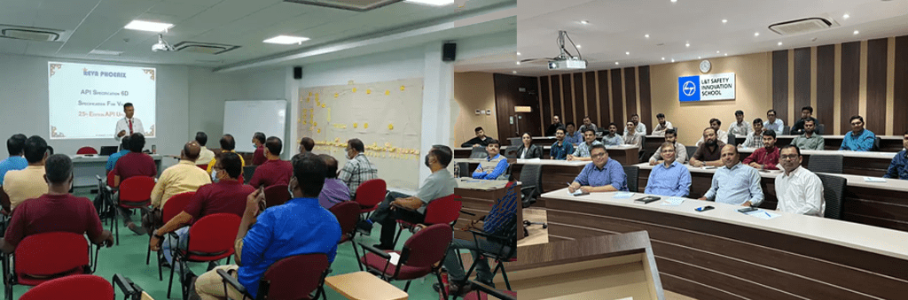 Reva Phoenix Training: Quality & API Certification Courses